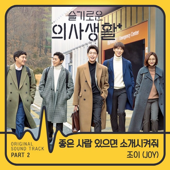 레드벨벳 조이, ‘슬기로운 의사생활’ 두 번째 OST주자 등장…금일 정오 OST 공개 - RPM9 전자신문엔터테인먼트