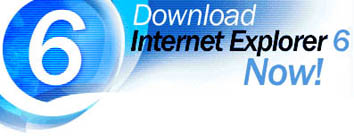 IE6.0 한글판 최종버전 출시 - 전자신문