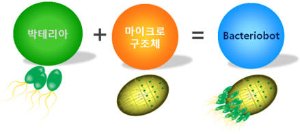 국내 연구진, 나노로봇 타당성 첫 입증.. 암 진단·치료 개가 - 전자신문