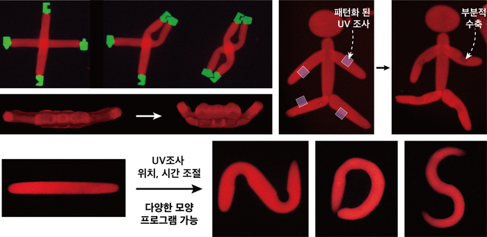 Gist 변형 가능한 스마트 수화젤 개발트랜스포머 마이크로 로봇 구현 전자신문