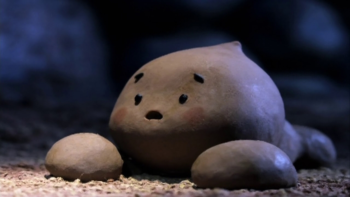 개똥 안치우는 주민… 美 콘도 “반려견 DNA 검사로 적발” - 전자신문