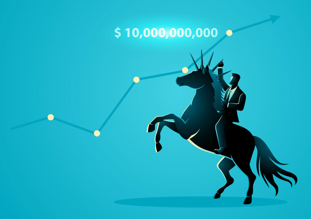 Rapid Growth Of Global Startup Corporate Value 54 decacon Born Kurdo